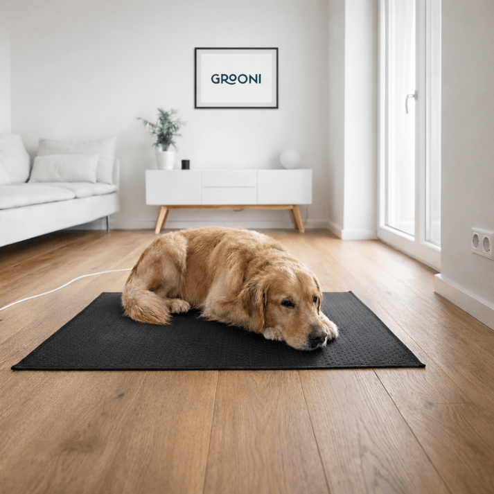 Grounding Mat for Dogs & Cats | Earthing Pet Mat | Grooni Wellness | 23x35"